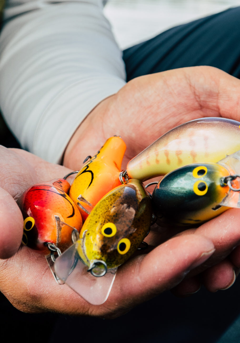 Bagleys lures store